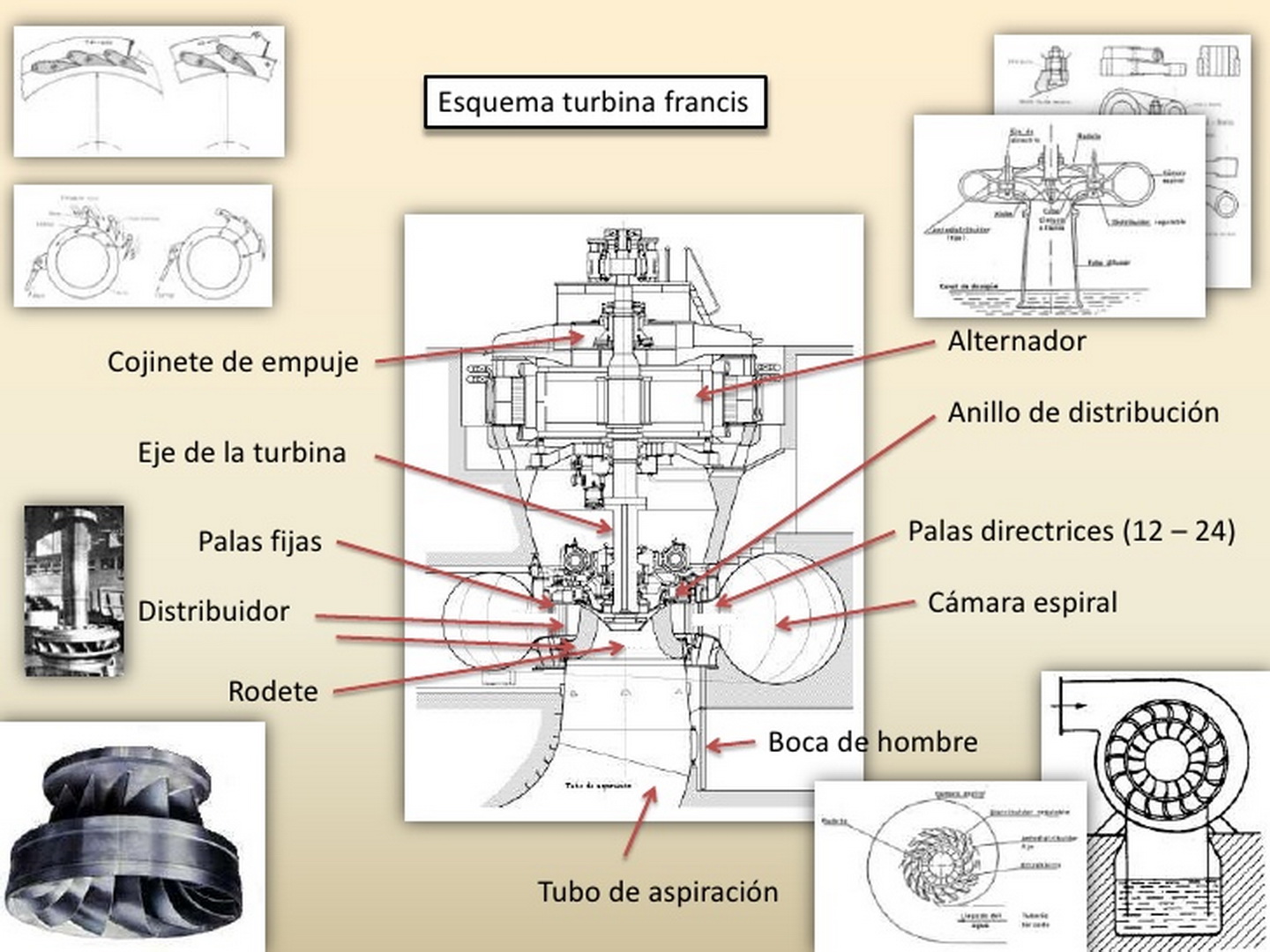 Esquema Turbina Francis Con Partes